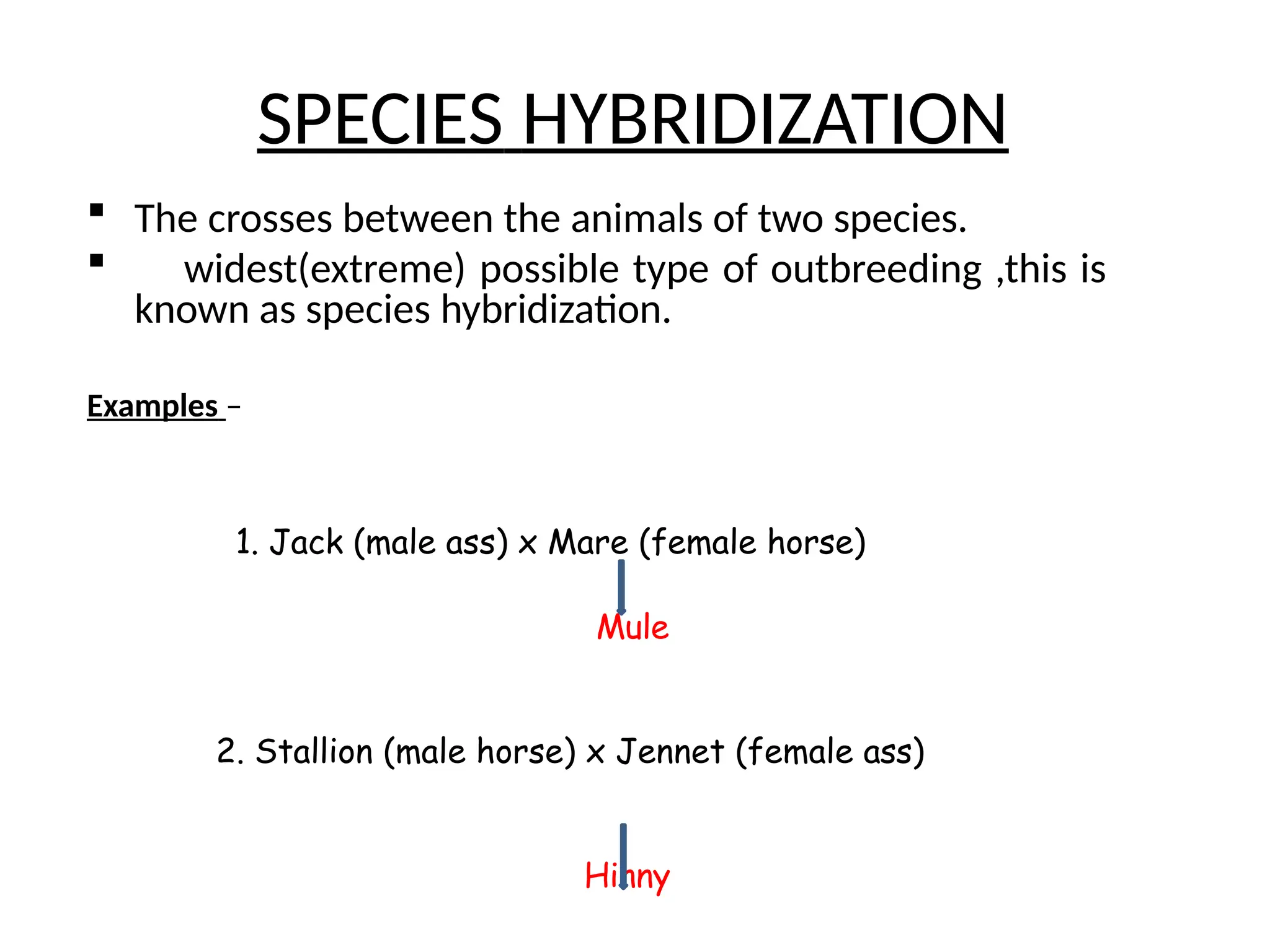 Mating systems in farm animals, focused on OUTBREEDING.pptx