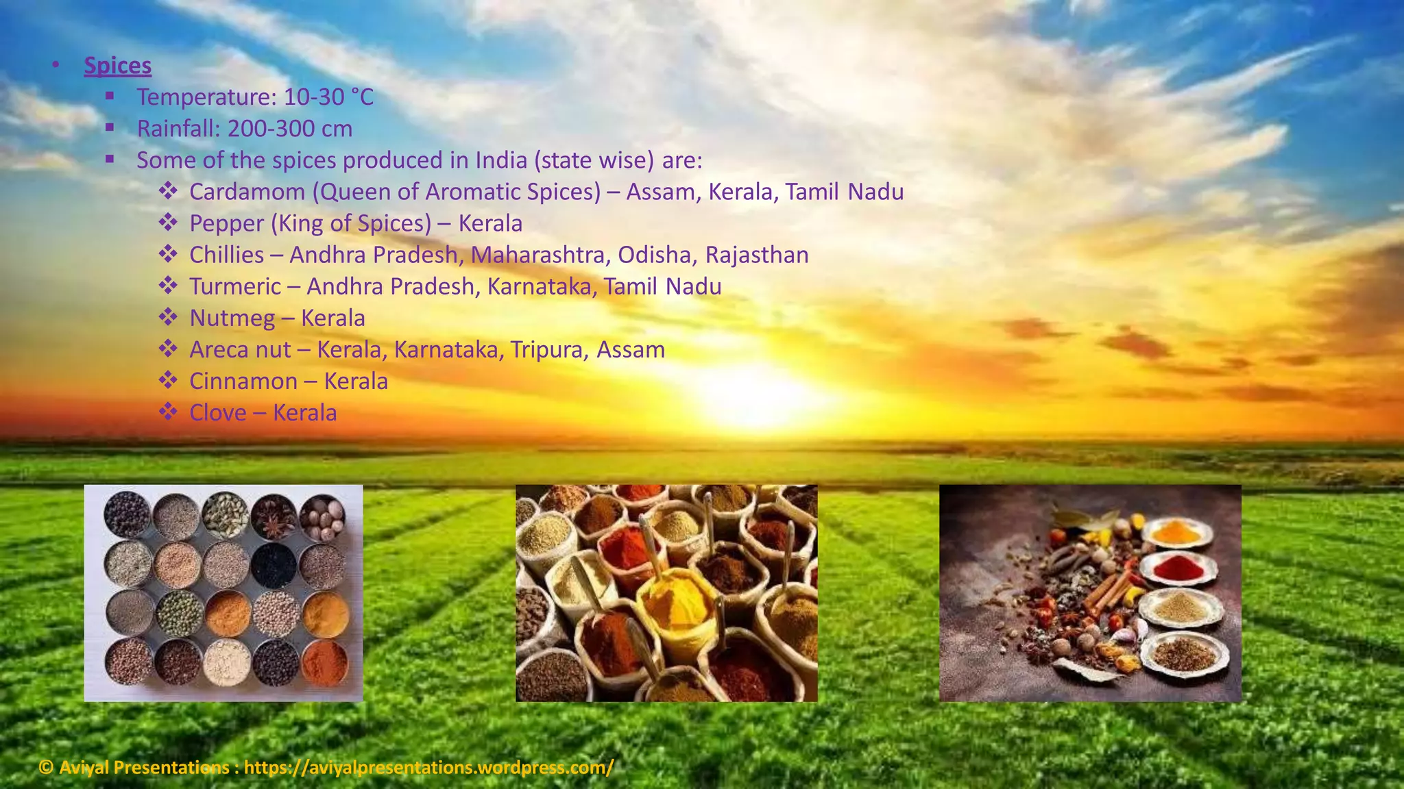 1718825032India-Crops types_B.A(H)part-II_Geography.pptx