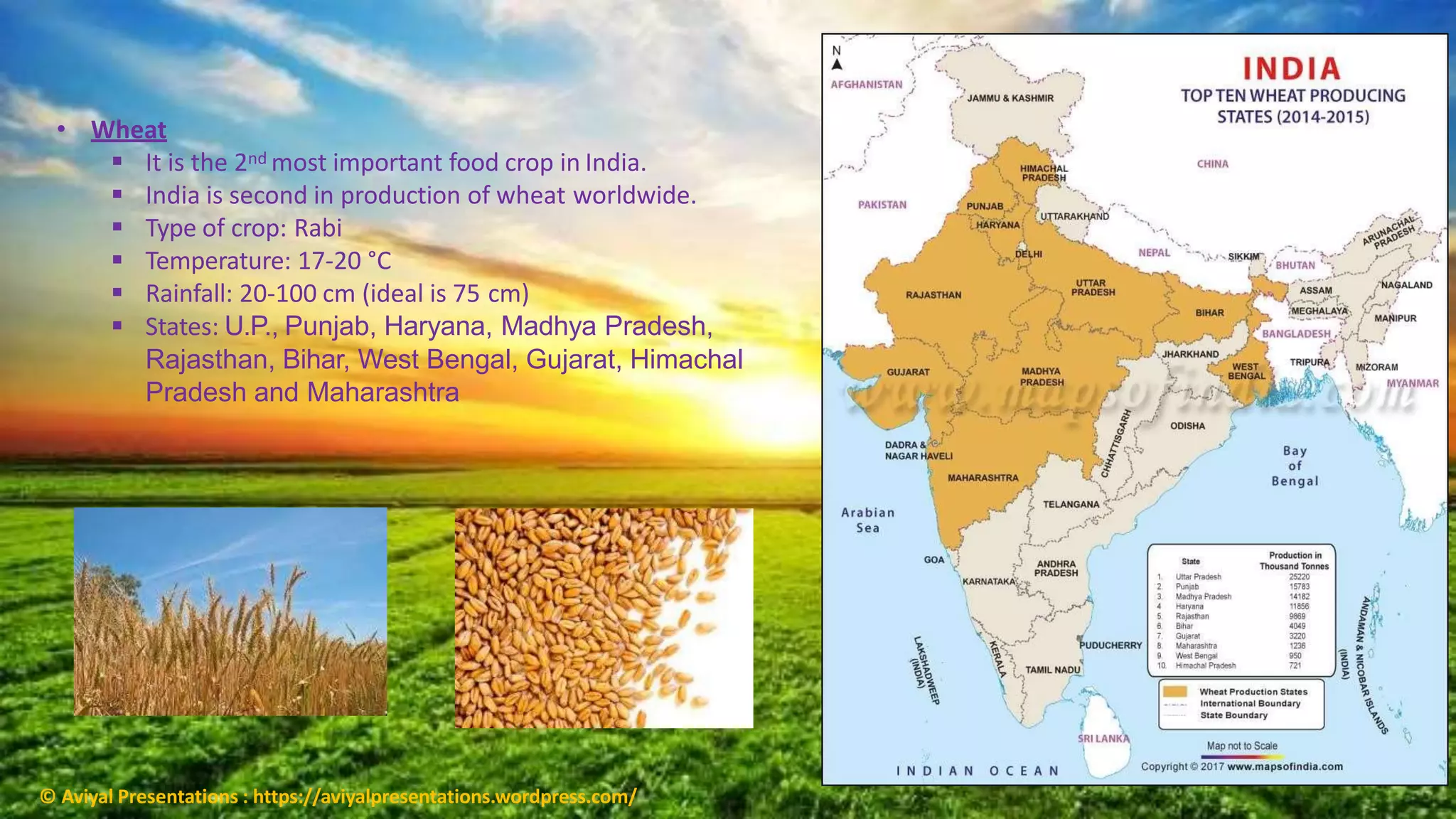 1718825032India-Crops types_B.A(H)part-II_Geography.pptx