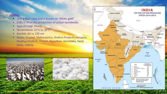 1718825032India-Crops types_B.A(H)part-II_Geography.pptx