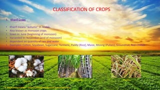 1718825032India-Crops types_B.A(H)part-II_Geography.pptx