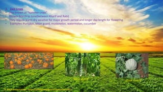 1718825032India-Crops types_B.A(H)part-II_Geography.pptx