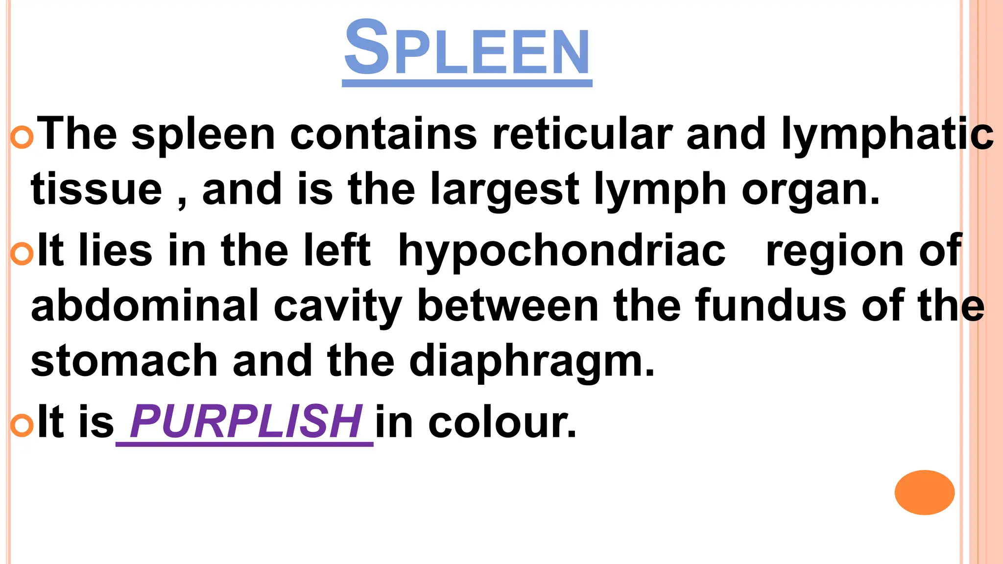 Spleen and Lymph Nodes Anatomy and Physiology .pptx