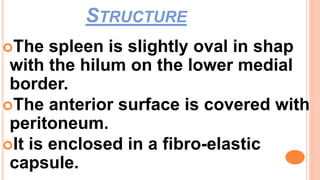 Spleen and Lymph Nodes Anatomy and Physiology .pptx