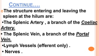 Spleen and Lymph Nodes Anatomy and Physiology .pptx
