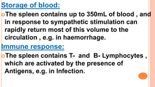 Spleen and Lymph Nodes Anatomy and Physiology .pptx