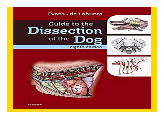 Guide to the Dissection of the Dog book 3694