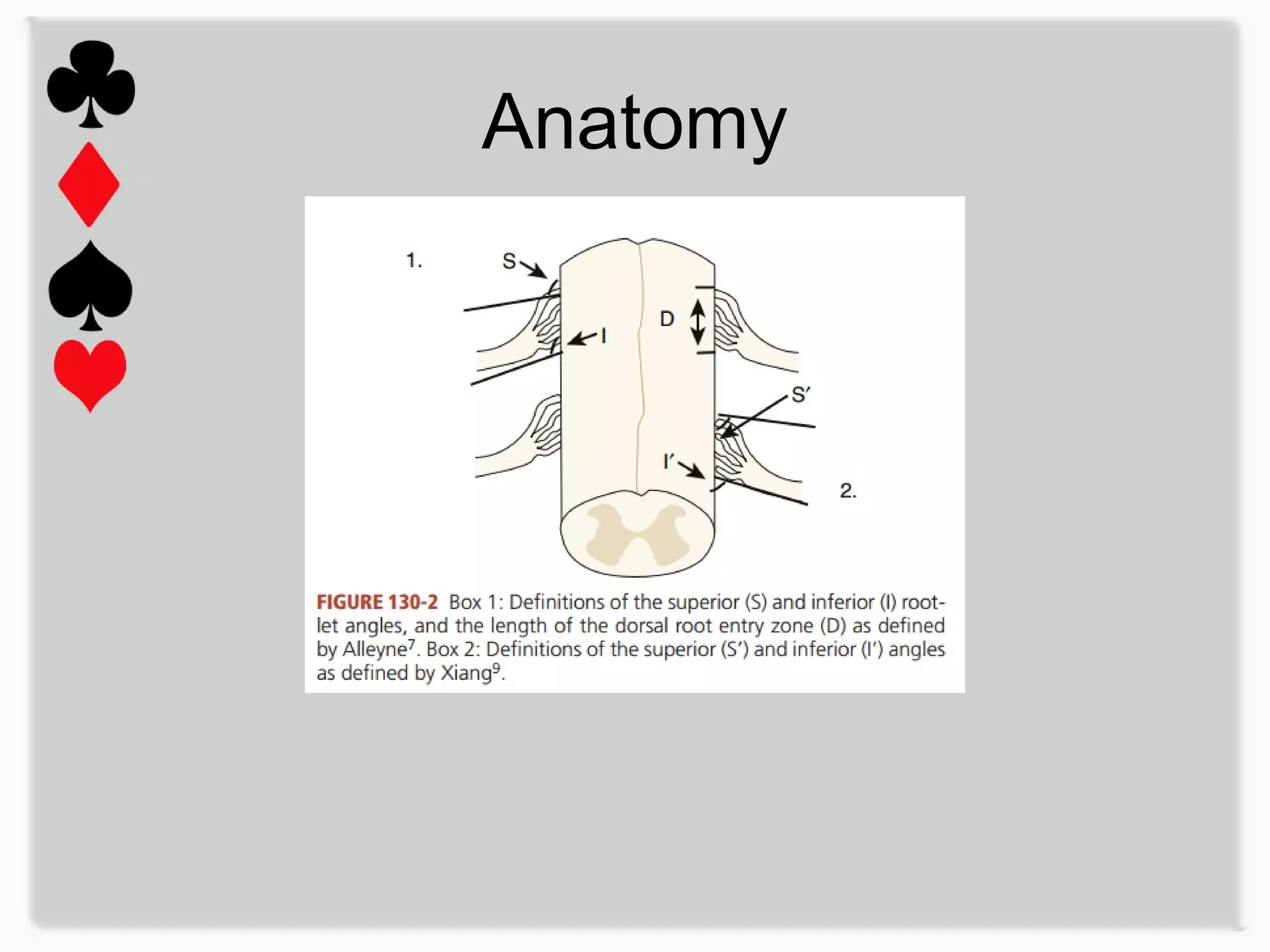 171&Sch ch130 Dorsal root entry zone lesion (DREZ) | PPT