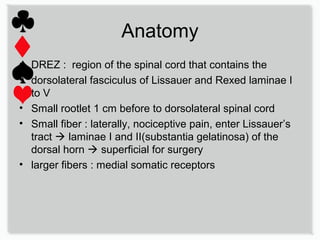 171&Sch ch130 Dorsal root entry zone lesion (DREZ) | PPT