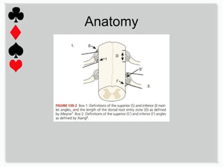 171&Sch ch130 Dorsal root entry zone lesion (DREZ) | PPT