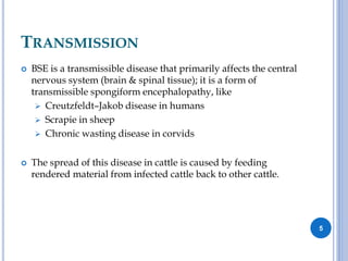 Bovine spongiform encephalopathy | PPTX