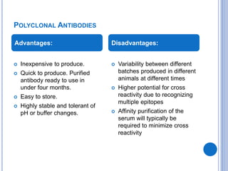 Monoclonal and Polyclonal Antibodies | PPTX