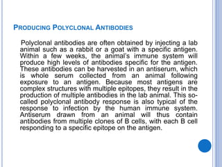 Monoclonal and Polyclonal Antibodies | PPTX | Blood Disorders ...
