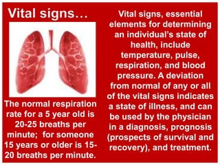 172-Anatomy-Resp-System.ppt