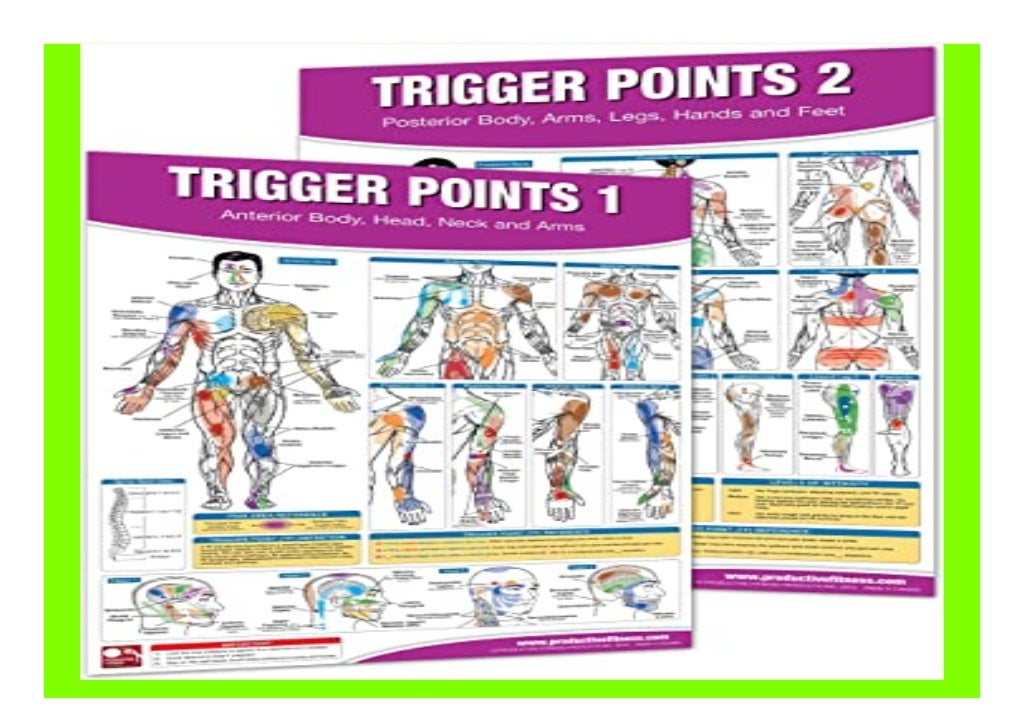 Trigger Point Therapy Chart/Poster Set Acupressure Charts - Myofascial ...