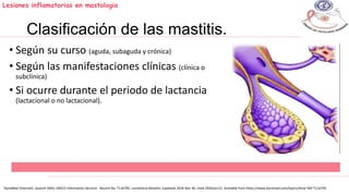 1721000678393_anatomia patologica 1.pptx
