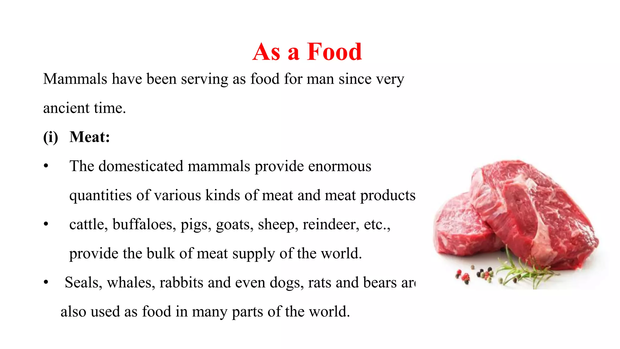 Economic importance of mammals zoology.pptx