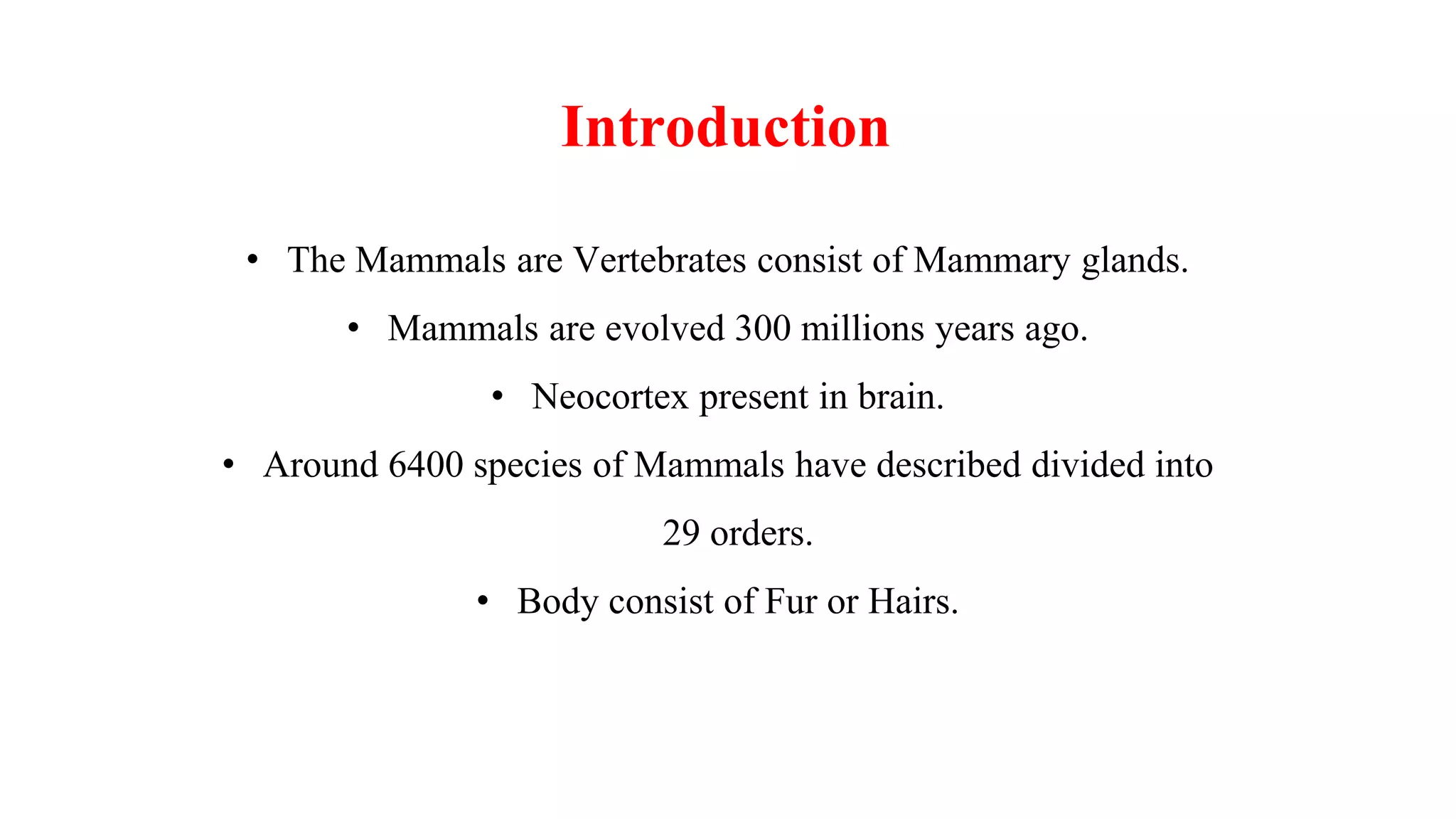 Economic importance of mammals zoology.pptx