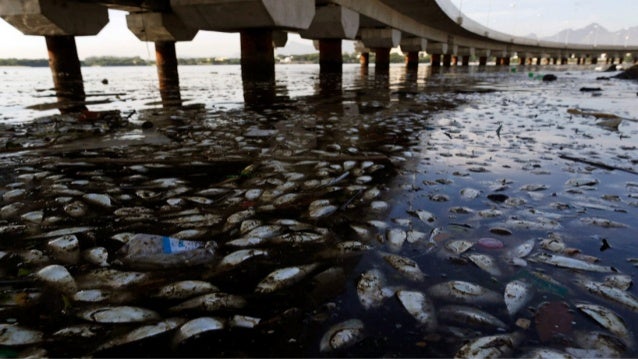 Innovating on life below water