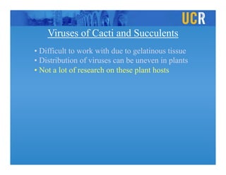 viruses and viral Diseases of Cacti and Succulents | PDF