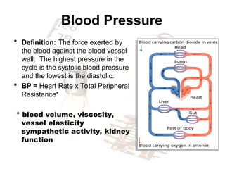 172482892-Measurement-of-Blood-Pressure-ppt.ppt