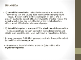 SPINE FORMATION FROM START UPTO THE LASR WEEK | PPT