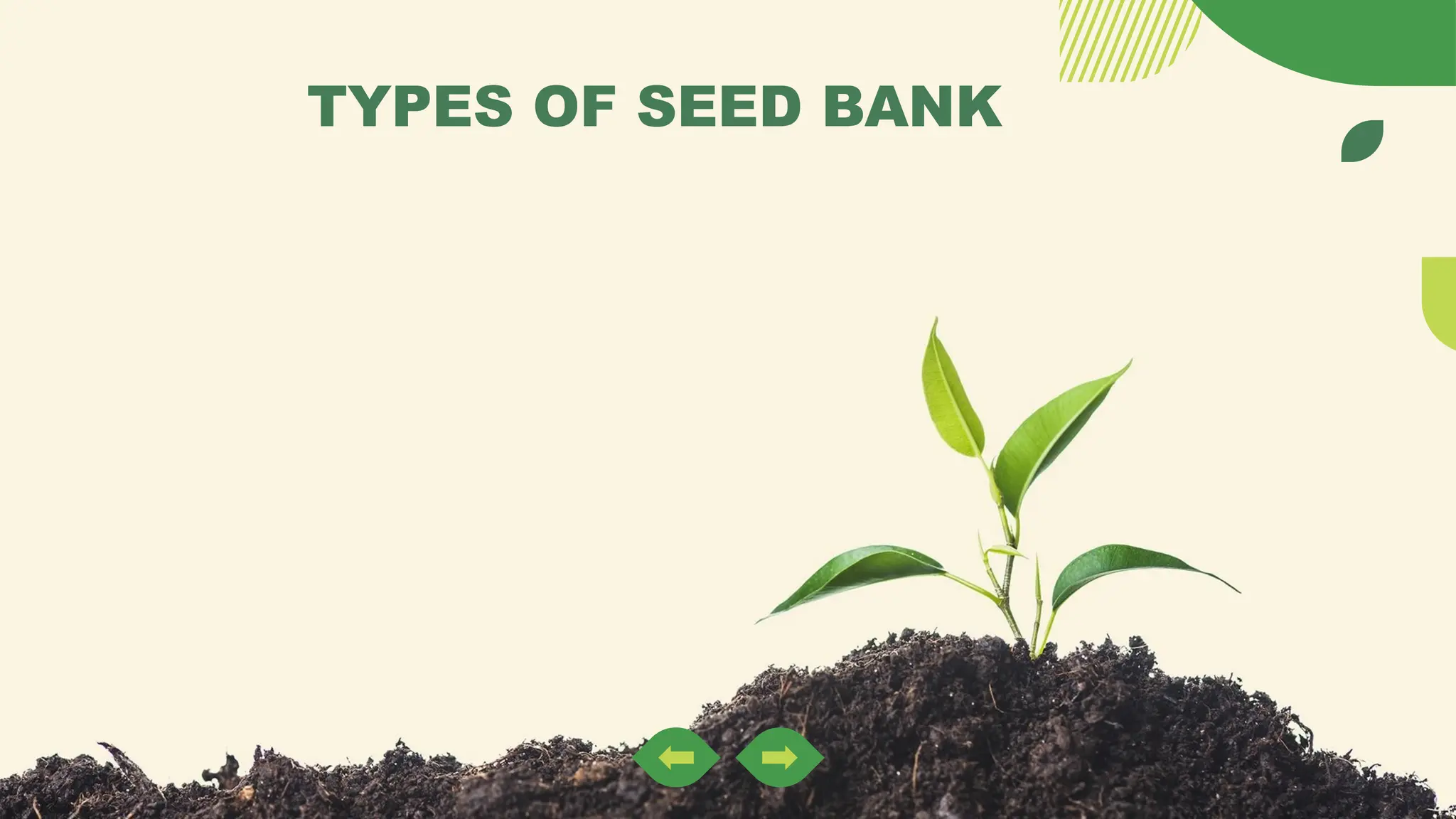 1727015187995_SEED BANK.and types of seedbank pptx | PPTX