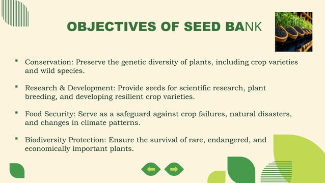 1727015187995_SEED BANK.and types of seedbank pptx | PPT