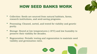 1727015187995_SEED BANK.and types of seedbank pptx | PPTX