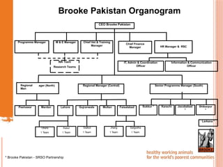 1727625932342_LECTURE 11 Brooke-Pakistan-Brief-2014-15.pptx