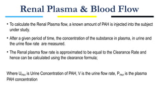 1728415007555_Renal Clearance LUM1102.pptx