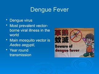 Dengue Fever, Cause, Clinical Features & Treatment | PPTX