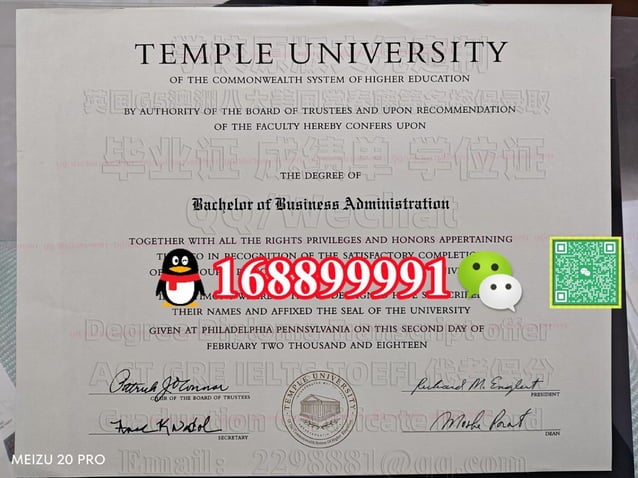 Temple University degree offer diploma Transcript | PDF