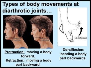 173-Anatomy-skeletal.ppt a | PPT
