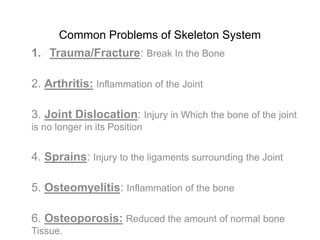 Anatomy-skeletal presentation (1).ppt