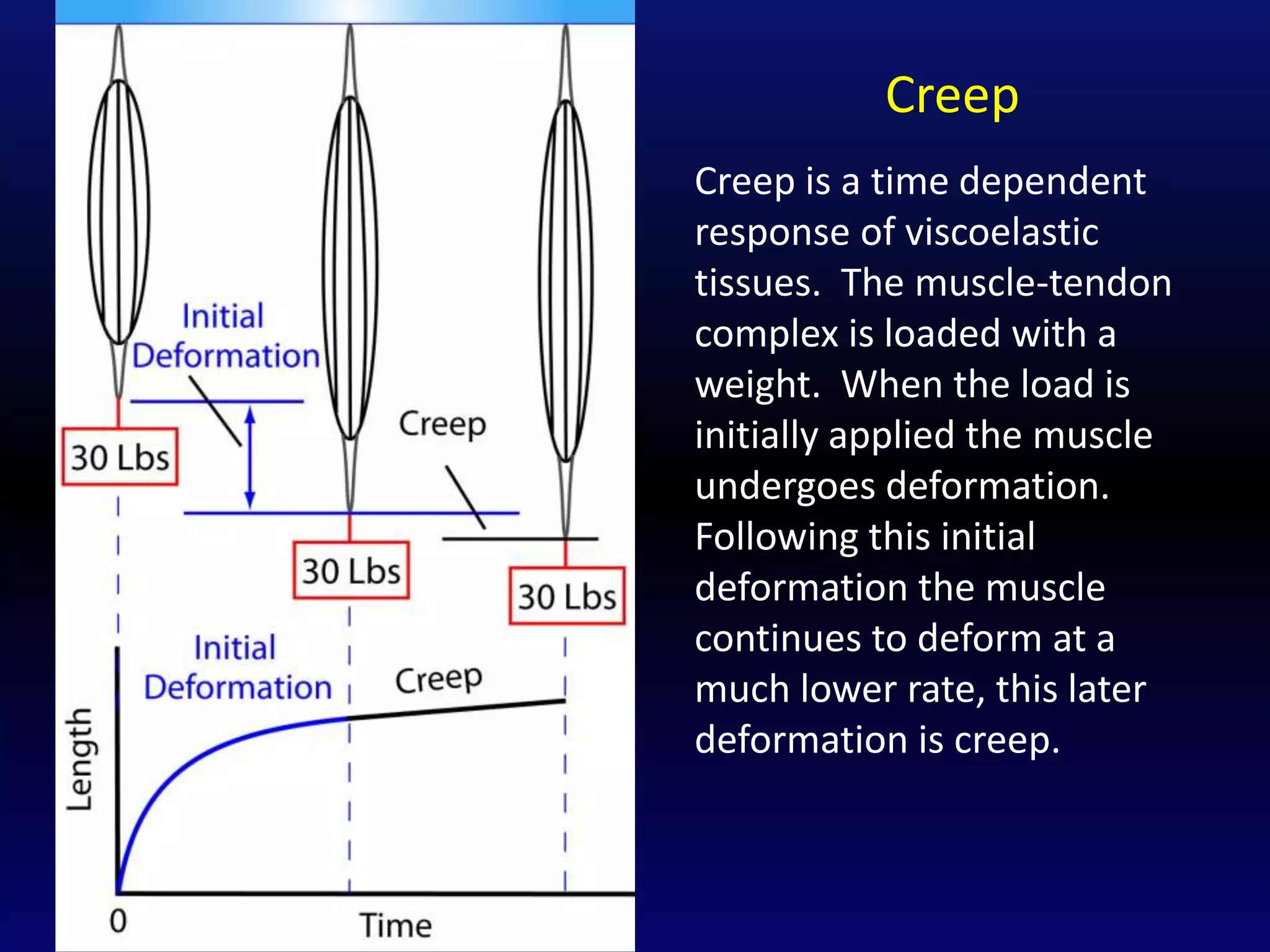 mechanical properties of soft tissues.ppt