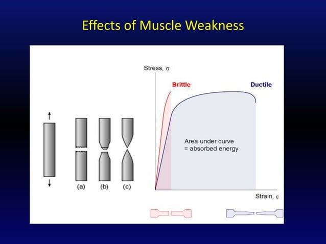mechanical properties of soft tissues.ppt