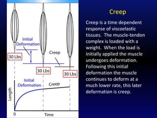 mechanical properties of soft tissues.ppt