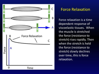 mechanical properties of soft tissues.ppt