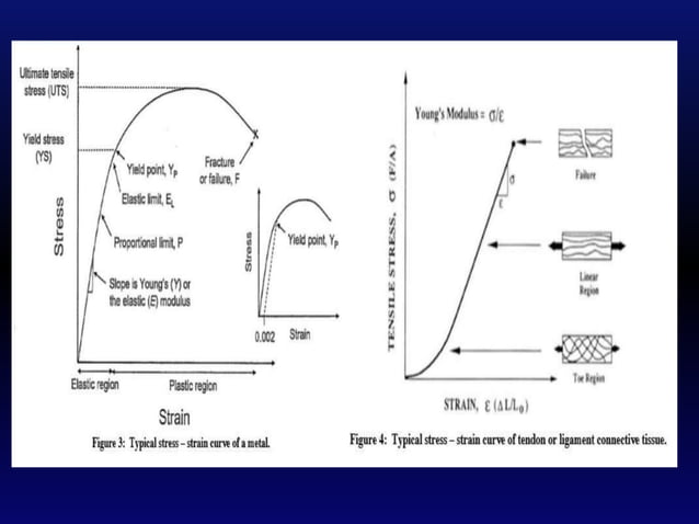 mechanical properties of soft tissues.ppt