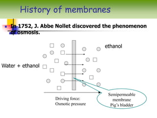 Membrane Processing Technology; Microfiltration, ultrafiltration ...