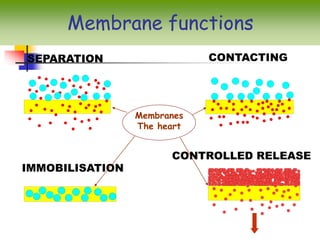 Membrane Processing Technology; Microfiltration, ultrafiltration, nanofiltration | PPT