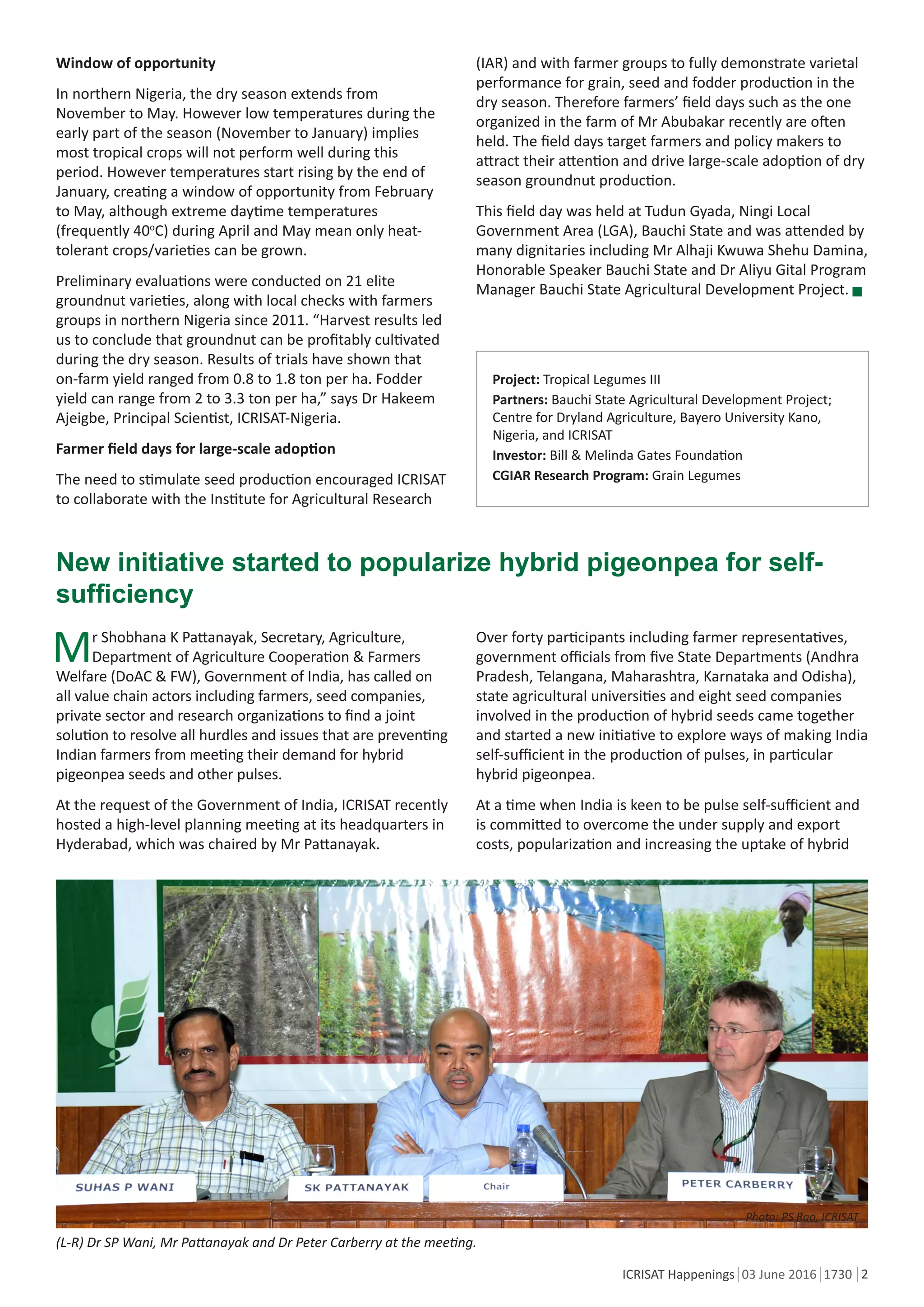 Nigerian farmers beat high temperatures with dry-season groundnut ...