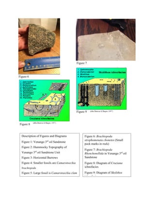 Venango Project | PDF