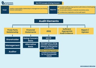 Developed audit chart for visual learners | PDF