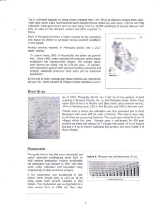 Phongsaly Tea Mountain Study Report | PDF