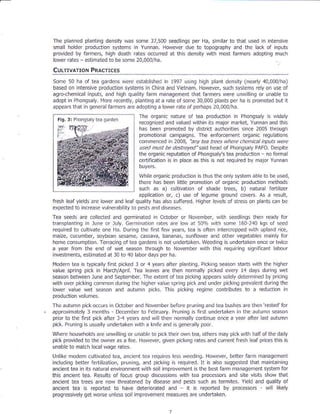 Phongsaly Tea Mountain Study Report | PDF