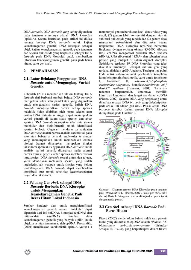 Peluang gen rbcL sebagai DNA barcode berbasis DNA kloroplas untuk mengungkap keanekaragaman ...