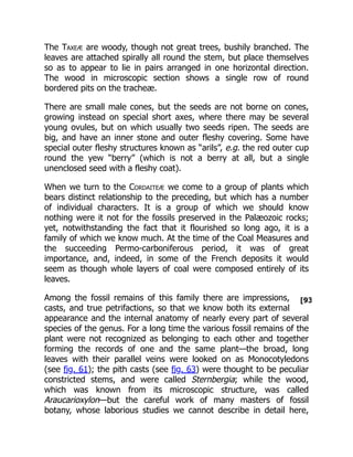 Roman Mythology A Travellers Guide From Troy To Tivoli David Stuttard | PDF