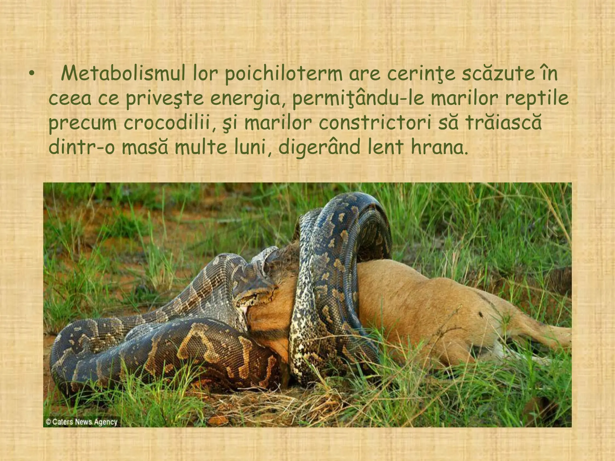 174859901-Reptile-Sistemul-Digestiv-Si-Cel-Excretor.pdf